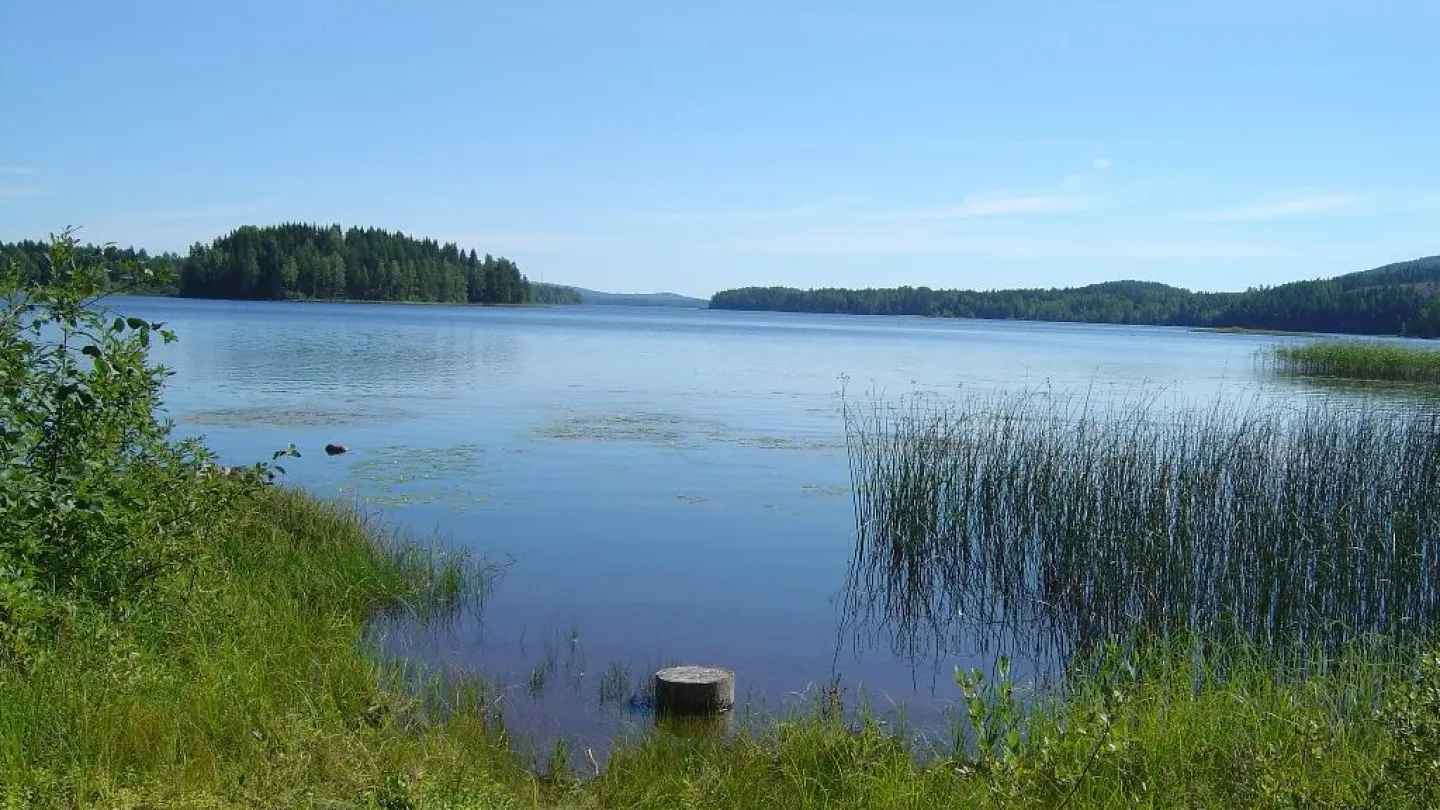 Ånäset - nature reserve | Upplev Nordanstig